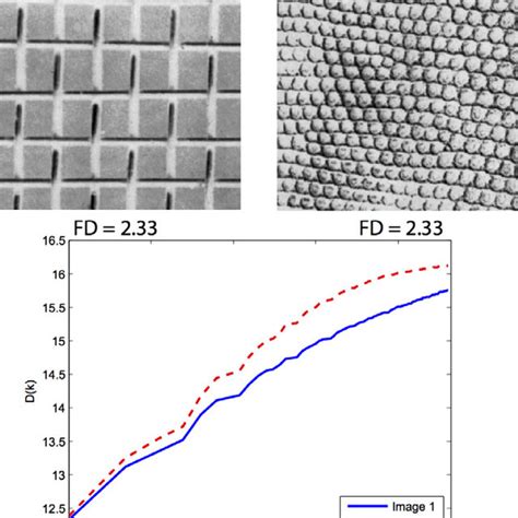 Fractal Descriptors Representing Two Texture Images Whose Fractal Download Scientific Diagram
