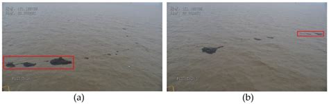 A High Quality Instance Segmentation Network For Floating Algae Detection Using Rgb Images