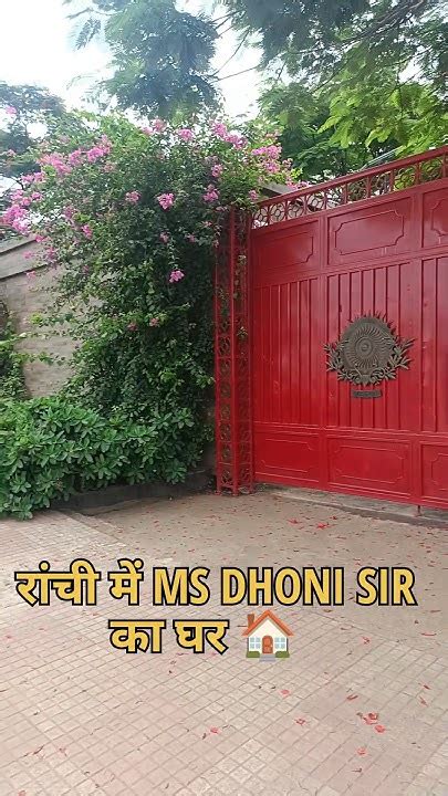 Ms Dhoni House Shorts Msdhoni Youtube