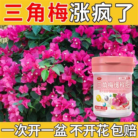 预售鑫德马三角梅肥料开花专用肥室内养花促花控释肥腊梅花通用复合肥 Shopee Malaysia