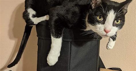 Elodin Being Himself Album On Imgur