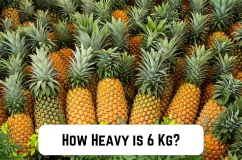 How Heavy is 6 Kg? 14 Common Comparisons (+Pics) | Measuringly