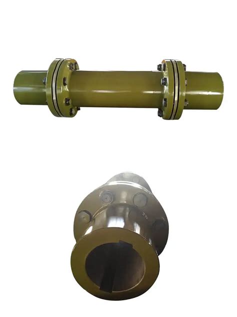 Densen Customized Double Disc Flexible Coupling Locking Flexible Coupling Motor Disc Couplings