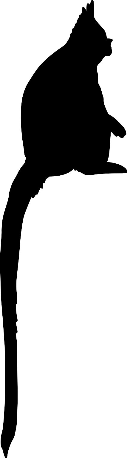 Trachypithecus Francoisi By Andy Wilson Cc0 1 0 Phylopic