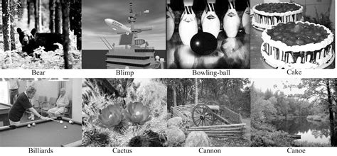 efficient image classification via sparse coding spatial pyramid