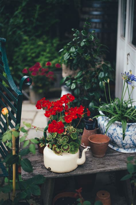 Turn Your Garden Into A Thriving Sustainable Outdoor Space
