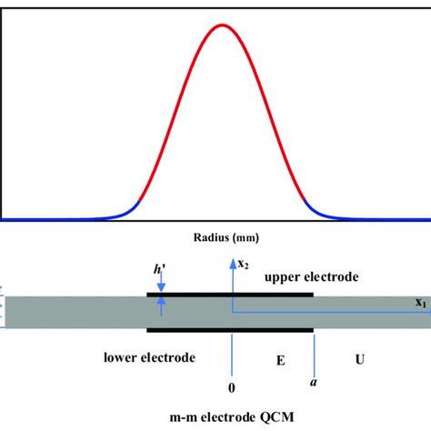 Schematic Diagram Of The Structure And Mass Sensitivity Distribution Of