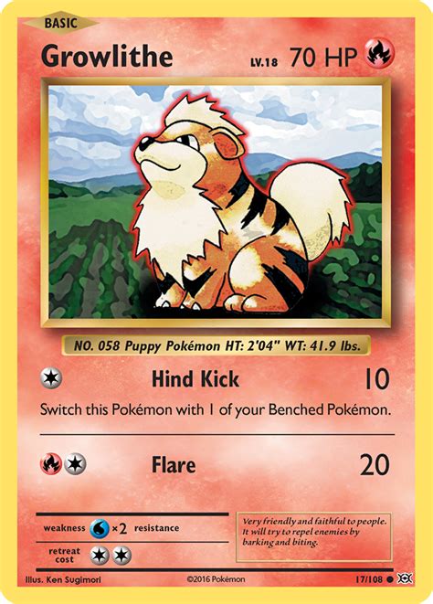 My Tcg Collection Track Your Pokemon Card Collection