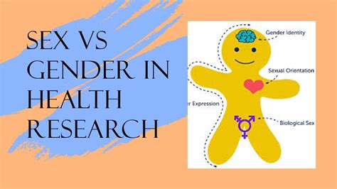 Understanding The Differences Between Sex And Gender In Health Research