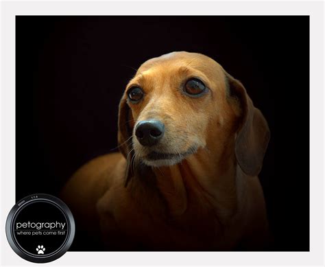 Petography The Stunning Sophie Such A Beautiful Girl