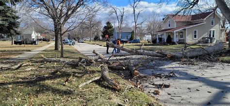 Falling Limb Catches Power Line Snaps Light Pole Thursday Theperrynews