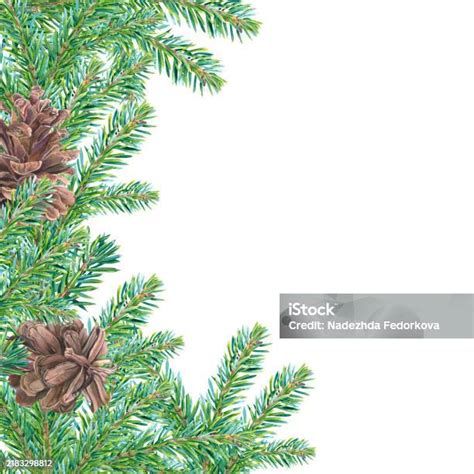수채화 크리스마스 나무 가지 솔방울이 있는 프레임 새해 인사말 카드와 초대장에 대 한 템플릿의 그림 고립 된 배경에 가문비 나무 나뭇 가지와 테두리의 식물 그림 12월에
