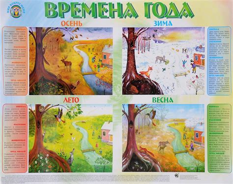 Плакат обучающий времена года (48 фото)