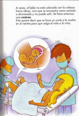 De donde vienen los bebés PDF