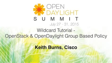 opendaylight installation tutorial shelly lighting