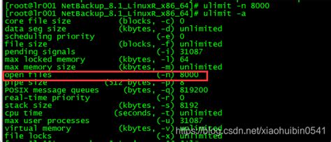 Symantec Netbackup 81安装部署symantec Netbackup 下载 Csdn博客