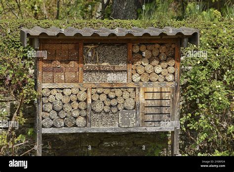 Insect Hotel For Solitary Bees And Artificial Nesting Site For Other