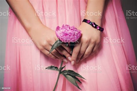 레이스 Prom 스커트에 여성 손에 아름 다운 모란 꽃 핑크 배경 개인 장식품에 대한 스톡 사진 및 기타 이미지 개인 장식품