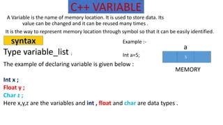 What Is Variables PPT