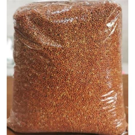 Jual Biji Jewawut Jawawut Juwawut 1kg Biji Jawak Pakan Makanan Burung
