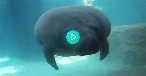 Mrw I Try To Talk To Girls  On Imgur