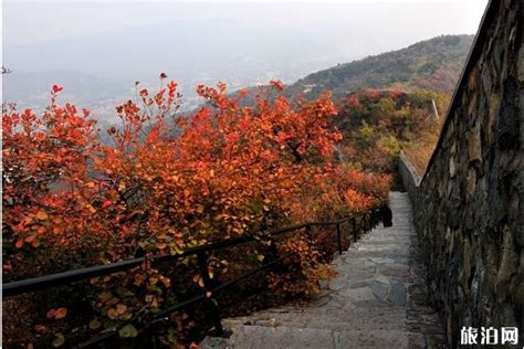 北京2019香山红叶节时间门票地点观赏路线旅泊网