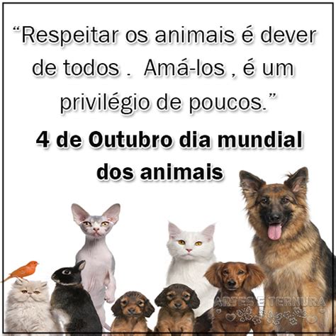 RENOVAÇÃO Pessoas têm mais empatia por animais maltratados que por
