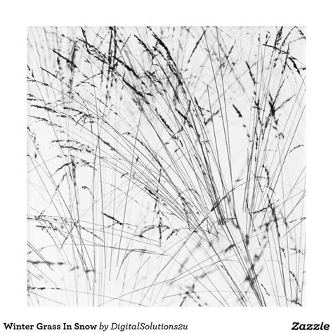 Winter Grass In Snow Acrylic Print Zazzle Decorative Art Prints