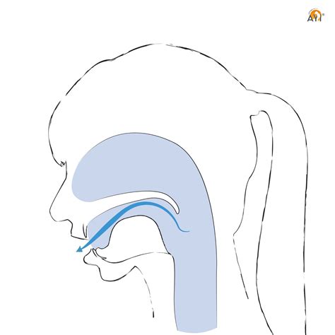 Semivowels