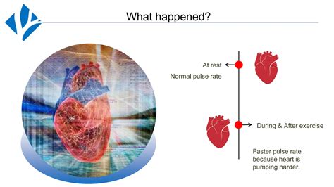 Grade 9 Circulatory System
