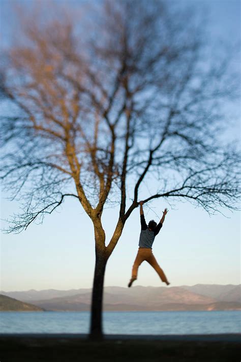 Man Hanging From Branch Of A Tree Photograph By Woods Wheatcroft Fine Art America