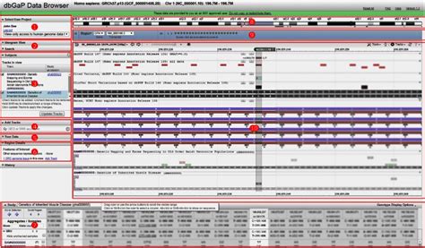 The DbGaP Data Browser A New Tool For Browsing DbGaP Controlled Access Genomic Data PMC