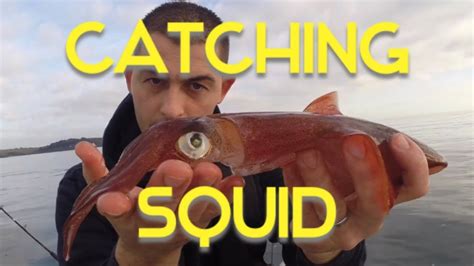 Squid Squid Fishing Uk Squid Fishing For Beginners Rigs Tips And