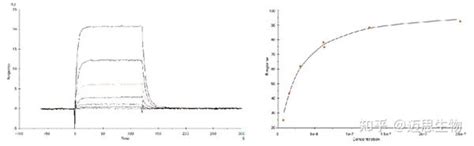 Spr分子互作检测介绍 知乎