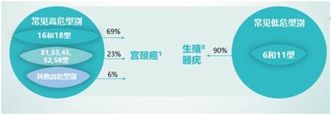 郴州人注意！明天开始，可网上预约hpv疫苗 搜狐大视野 搜狐新闻