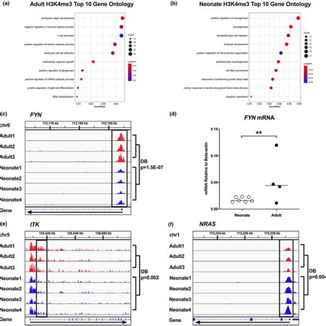 Neonatal Naïve Cd4 T Cells Demonstrate Decreased T Cell Receptor