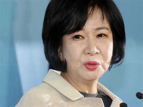 손혜원 누구길래 더불어민주당 당명 만든 홍보통 막말·사이다 줄타기 유명세