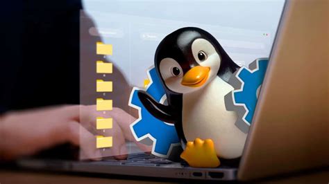 强大的命令，轻松在 Linux 终端中查看文件内容 Ahla Home