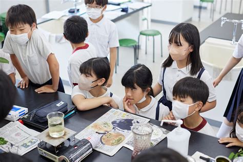 6年生 理科「植物のつくりとはたらき」