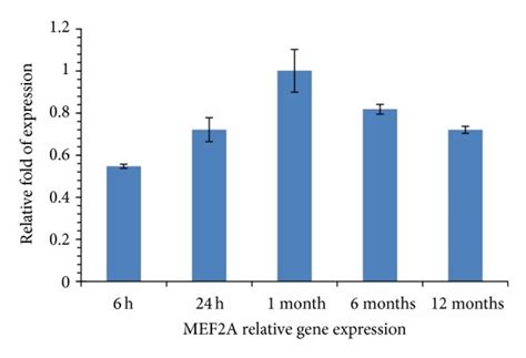 MRNA Expression Of Four Myogenic Regulatory Factors In Labeo Rohita At