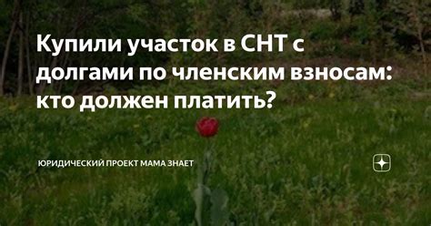 Купили участок в СНТ с долгами по членским взносам кто должен платить