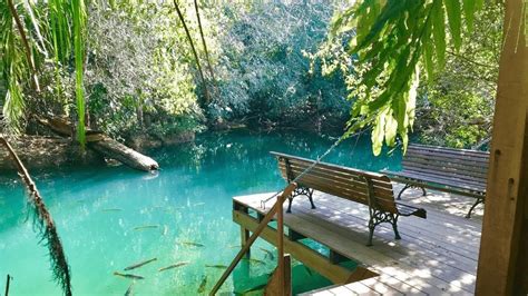 Bonito Em Mato Grosso Do Sul Um Guia Completo Dos Melhores Passeios No