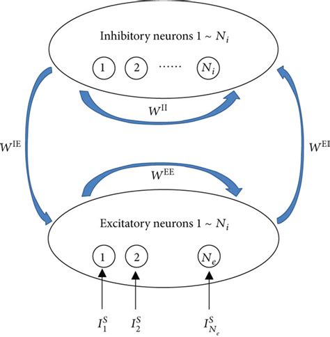 High‐frequency Synchronization Improves Firing Rate Contrast And Information Transmission