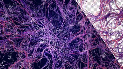 Premium Psd Brain Connections Synapse Neurons And Veins 3d Rendering