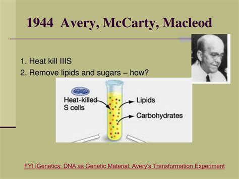 Ppt Dna Chapter 2 Read Principal Points Powerpoint Presentation