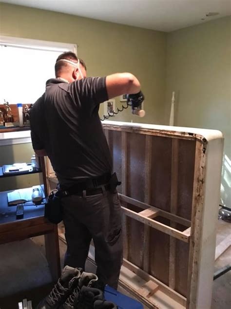 Bed Bug Eradication Elite Pest Solutions