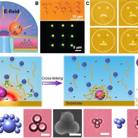 Schematic Illustration Of Optical Nanoprinting Techniques With