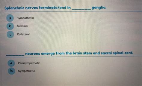 Solved Splanchnic Nerves Terminate End In Ganglia а A
