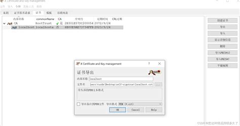 通过开源工具xca工具签发和管理可被浏览器信任的ssl证书 X Certificate And Key Management Csdn博客