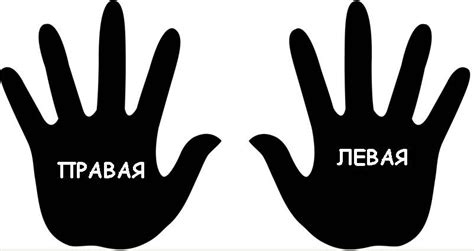 Где право где лево Детское развитие Математические факты Занятия